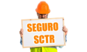 Seguro SCTR - AsegurateYa